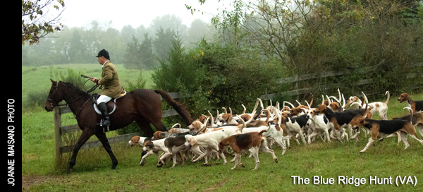 Fox Hunting Magazine: Foxhunting Life with Horse and Hound