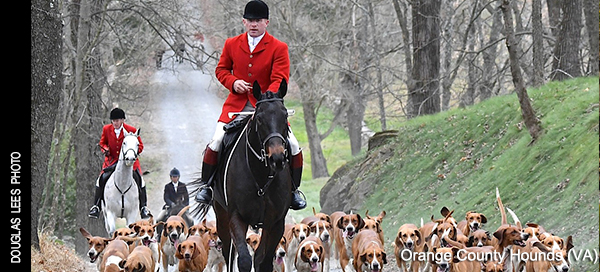 Fox Hunting Magazine: Foxhunting Life with Horse and Hound